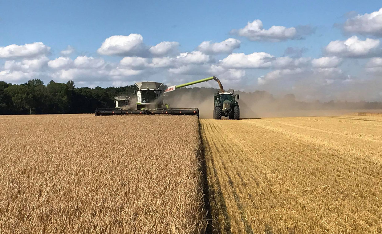 Lystrup gods ved Faxe overvejer at hjælpe med høsten i Jylland - Faxe ...